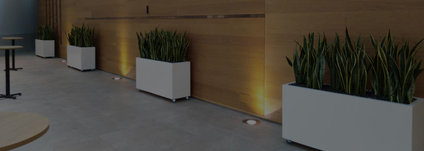 Maintained Partition Plant Displays & Plant Room Dividers • Inleaf